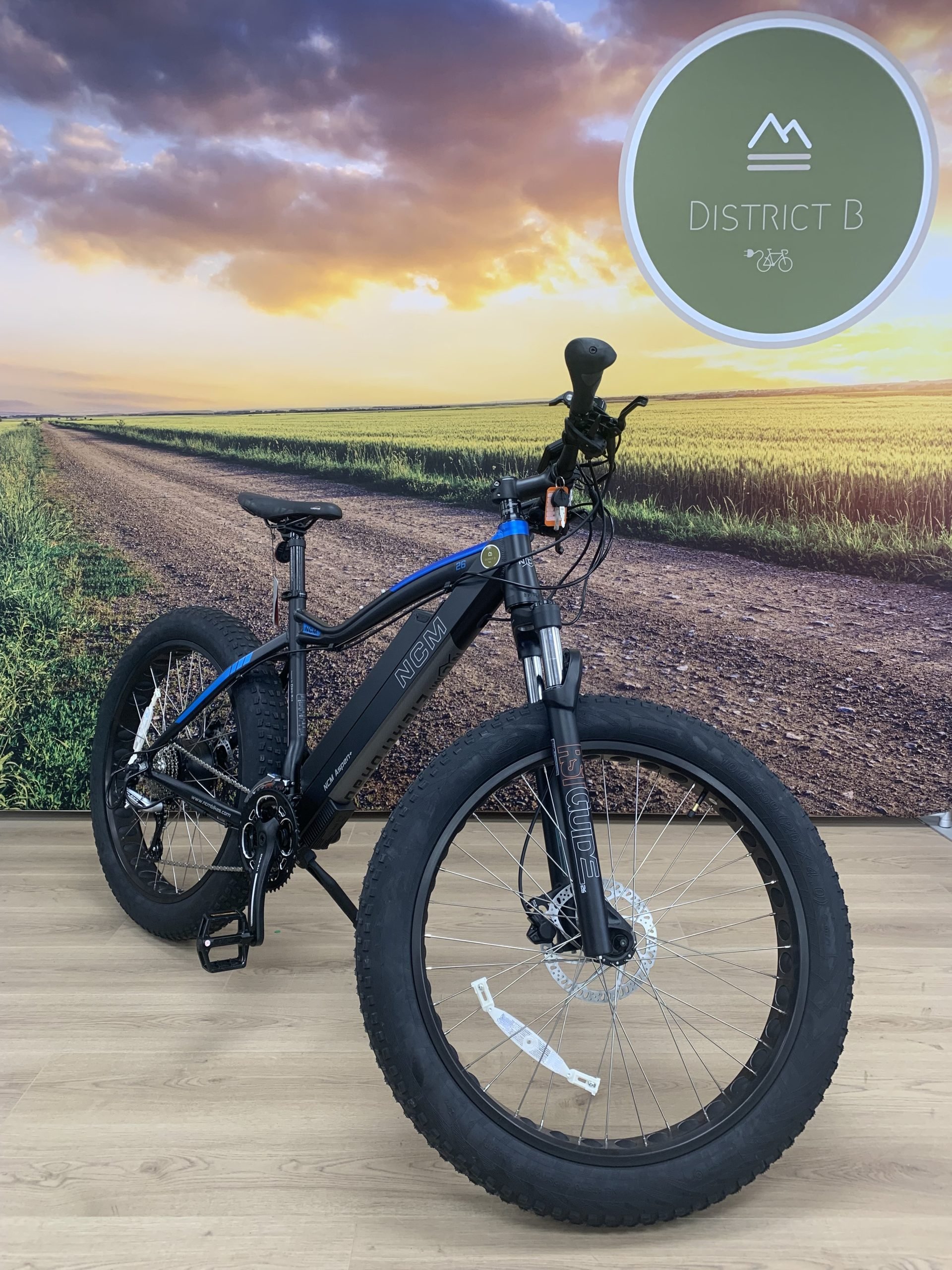 NCM Aspen Plus - District B